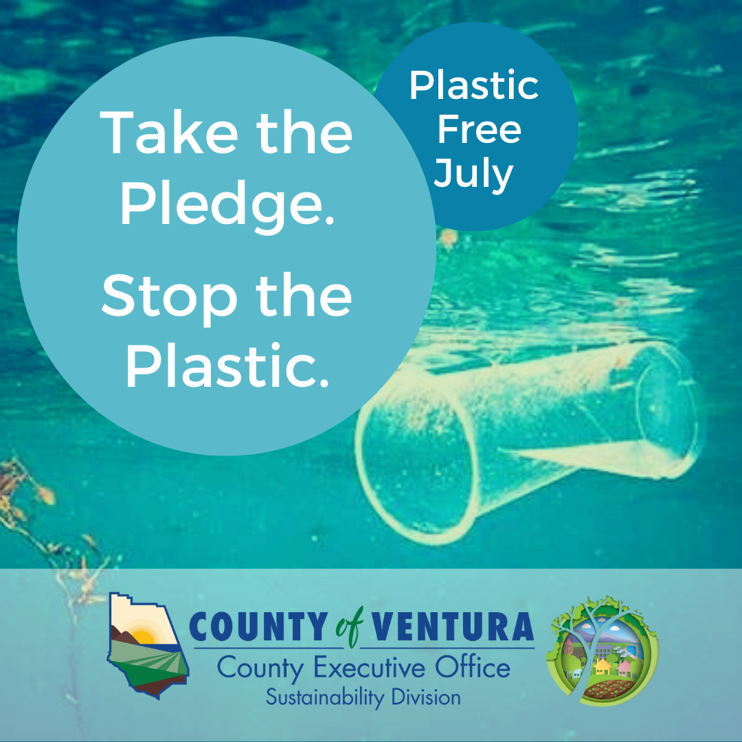 Celebrate Plastic Free July This Summer – Sustainability Website