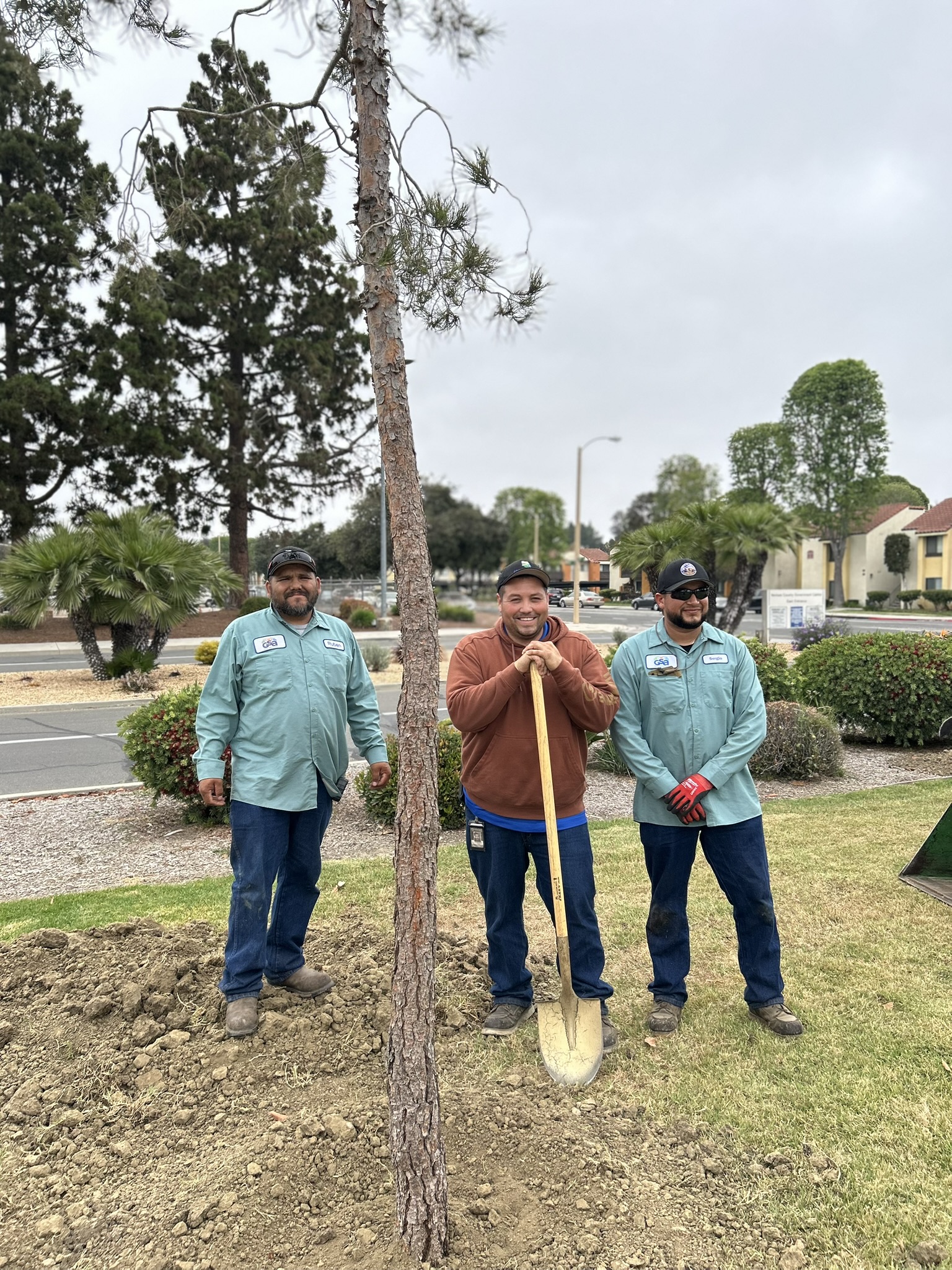 A Tree Grown with Love: The Glenn Family’s Gift to Ventura County ...